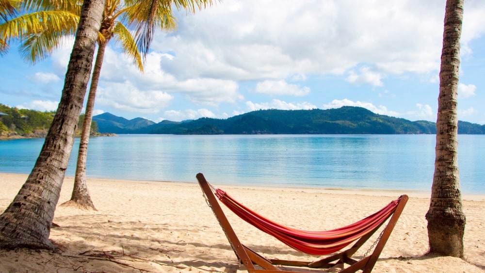 How to Get Out of a Timeshare Legally with Newton Group Transfers ...